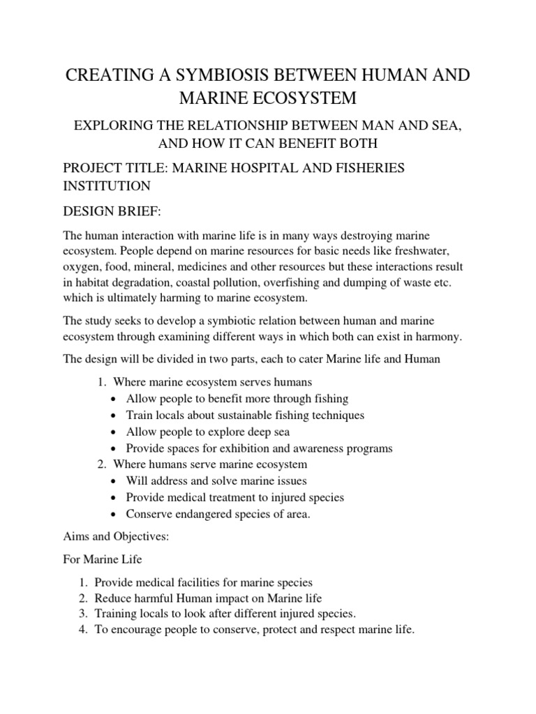 PROJECT BRIEF Revised | PDF