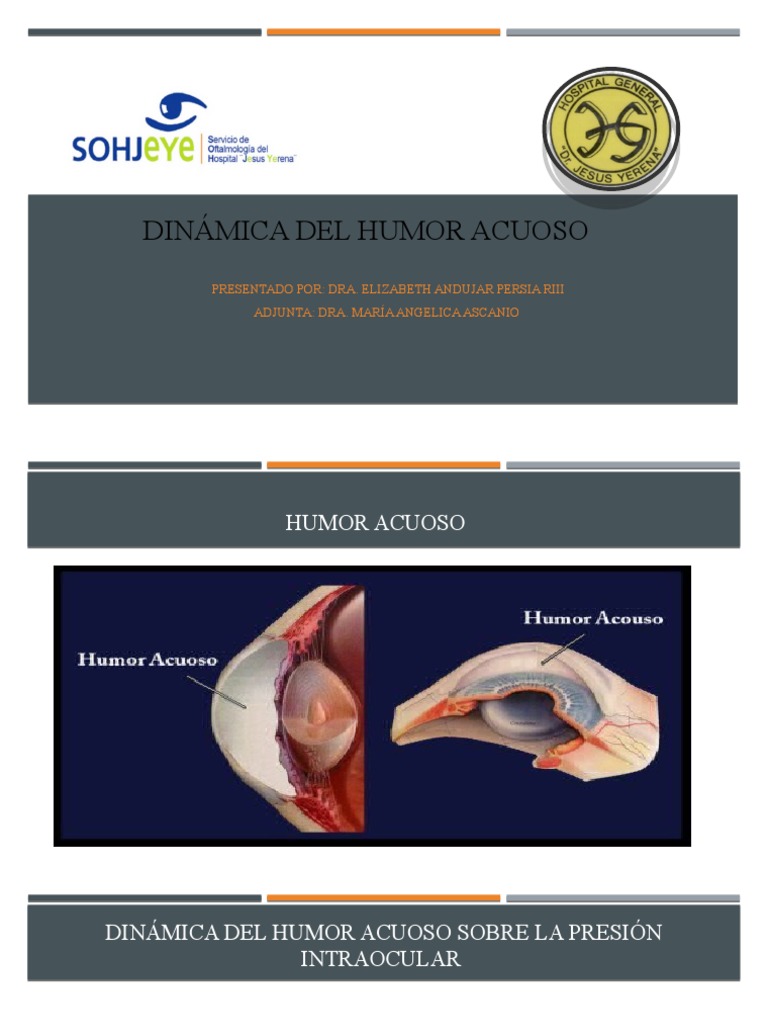 Dinámica Del Humor Acuoso Expo | PDF | Epitelio | Biología Celular