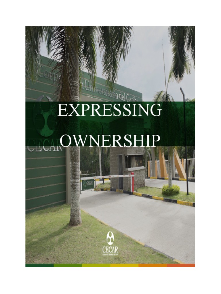 Expressing Ownership2 | PDF