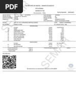 E5CINCO Formato Opcion 1 | PDF