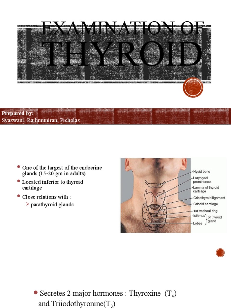 Examination Of: Thyroid | PDF | Thyroid | Hyperthyroidism
