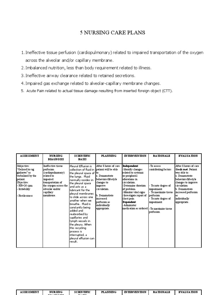 NCP Pleural Effusion | PDF | Lung | Clinical Medicine
