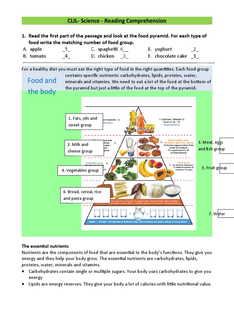 Food Pyramid Word Worksheet | PDF | Foods | Nutrients