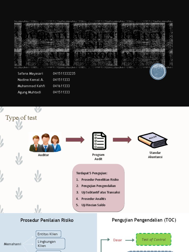 Overall Audit Strategy | PDF