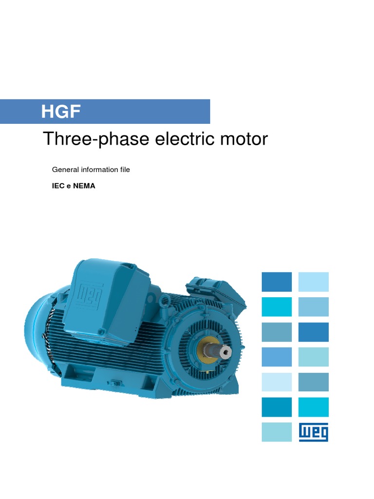 Three-Phase Electric Motor: General Information File | PDF | Electric ...