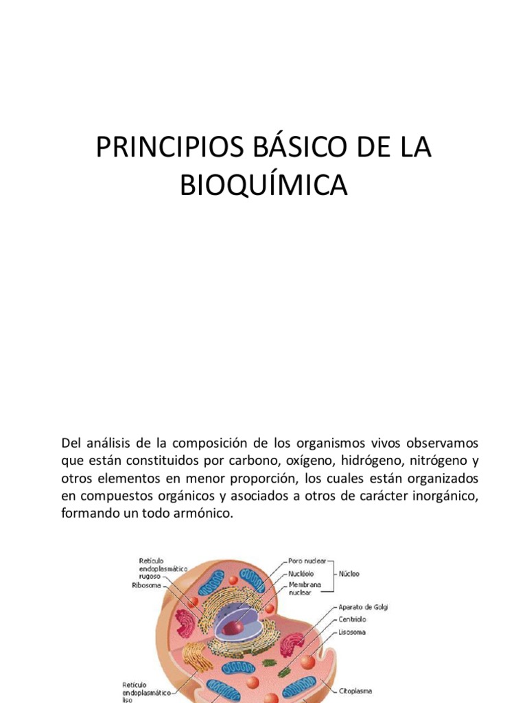 Principios Basicos de La Bioquimica. | PDF