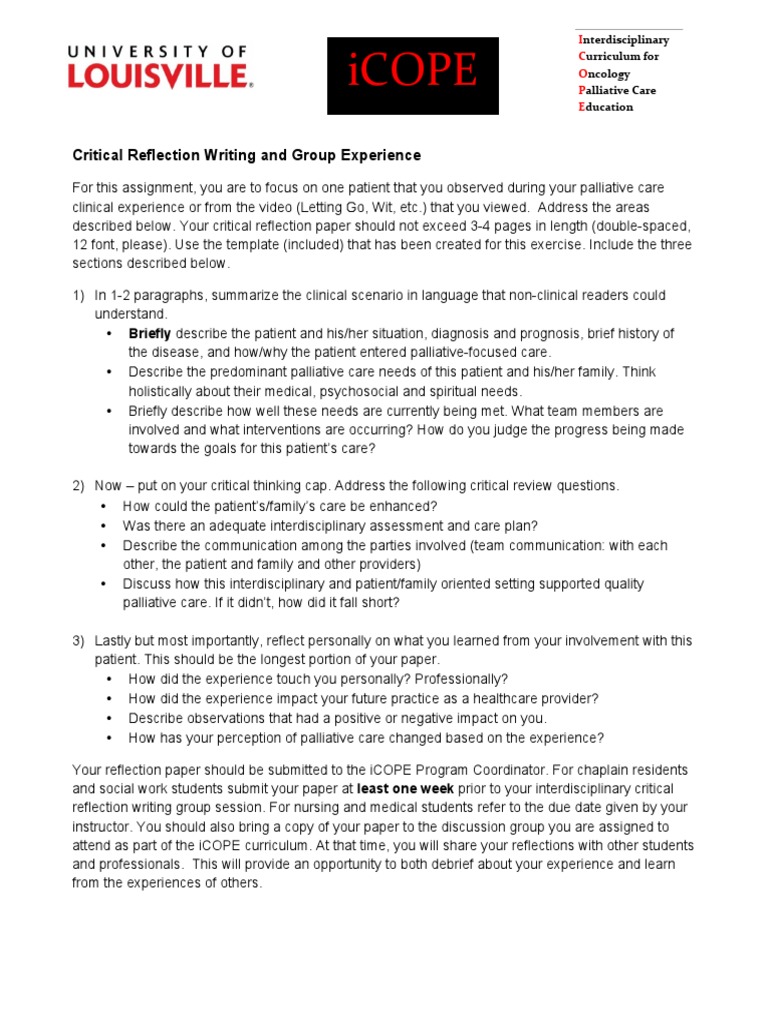 Critical Reflection Directions and Template | PDF | Palliative Care ...