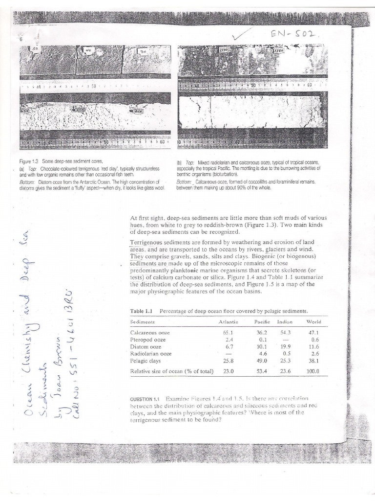 Ocean Chemistry and Deep Sea Sediment - 1 | PDF