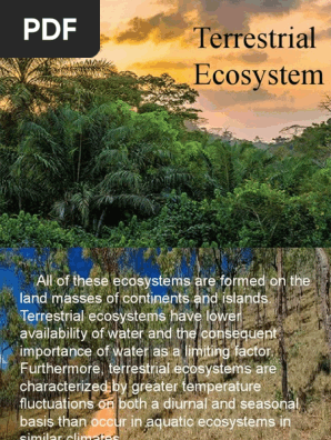 Terrestrial Ecosystem
