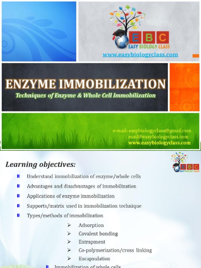 Enzyme Immobilization PPT by Easybiologyclass | PDF
