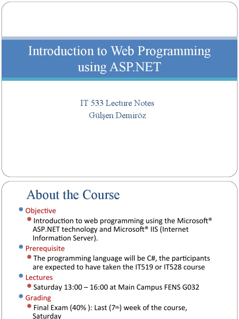 Introduction To Web Programming: IT 533 Lecture Notes Gülşen Demiröz ...