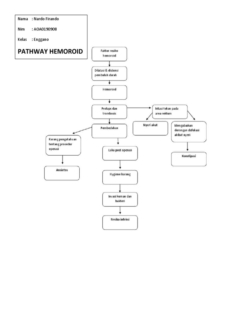 Pathway Hemoroid | PDF