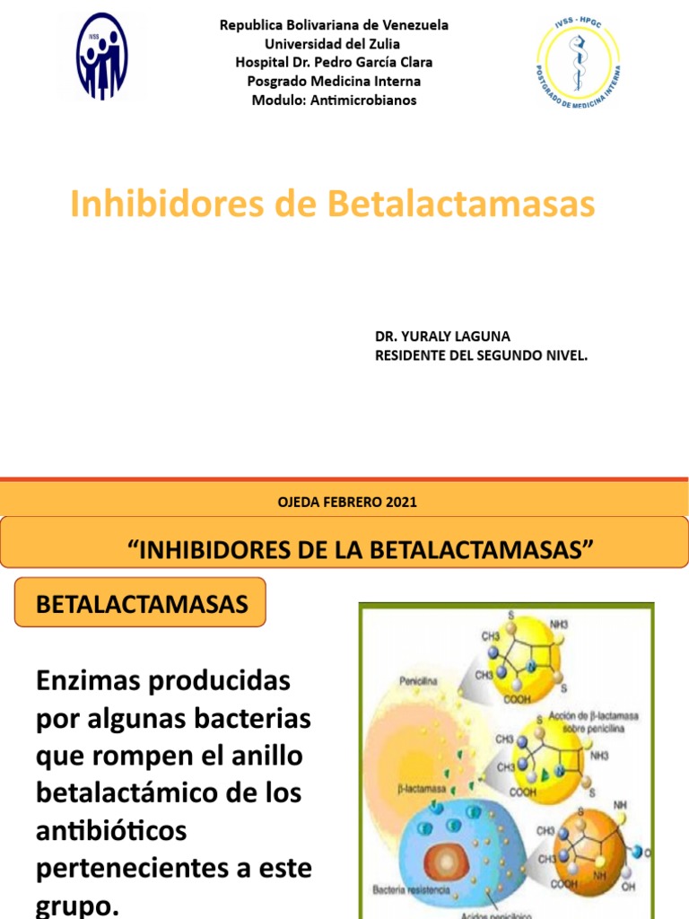 Inhibidores de Betalactamasas: Mecanismos y Tipos | PDF | Beta ...