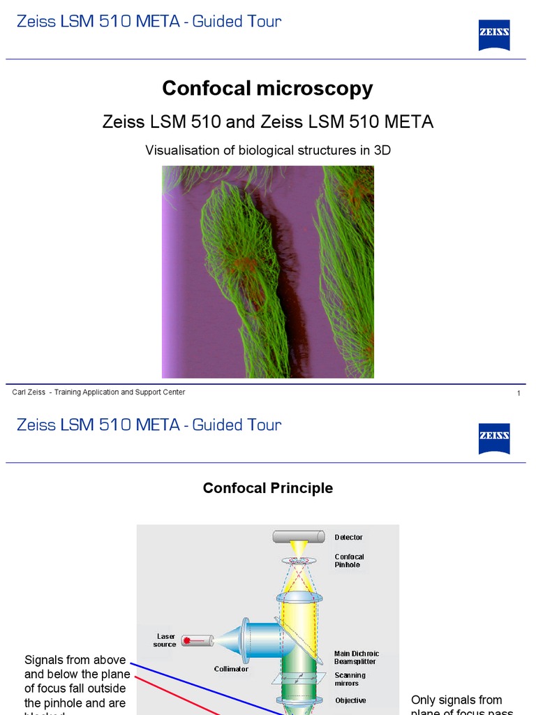 Confocal Microscopy: Zeiss LSM 510 META - Guided Tour | PDF | Confocal ...