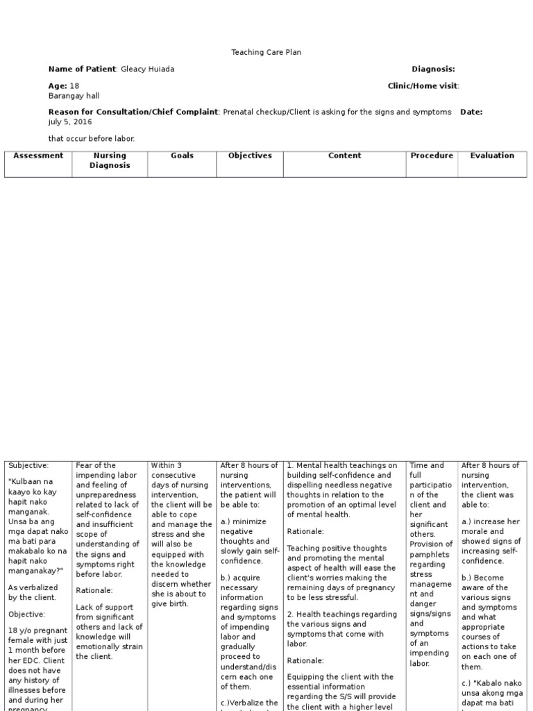 Teaching Care Plan Example | PDF | Nursing | Mental Health