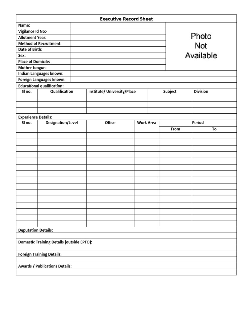 Executive Record Sheet | PDF