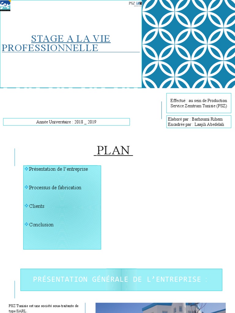 Barhoumi Rihem | PDF | Sociétés | Économie