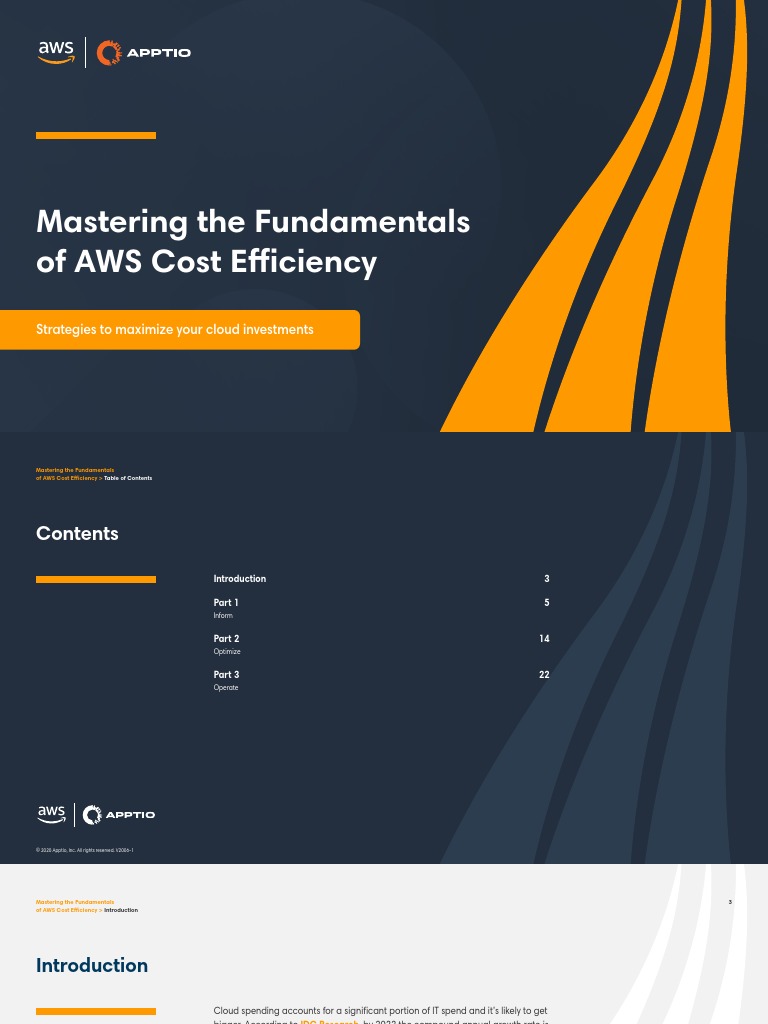 Mastering Fundamentals of Aws Cost Efficiency | PDF | Cloud Computing | Computer Engineering