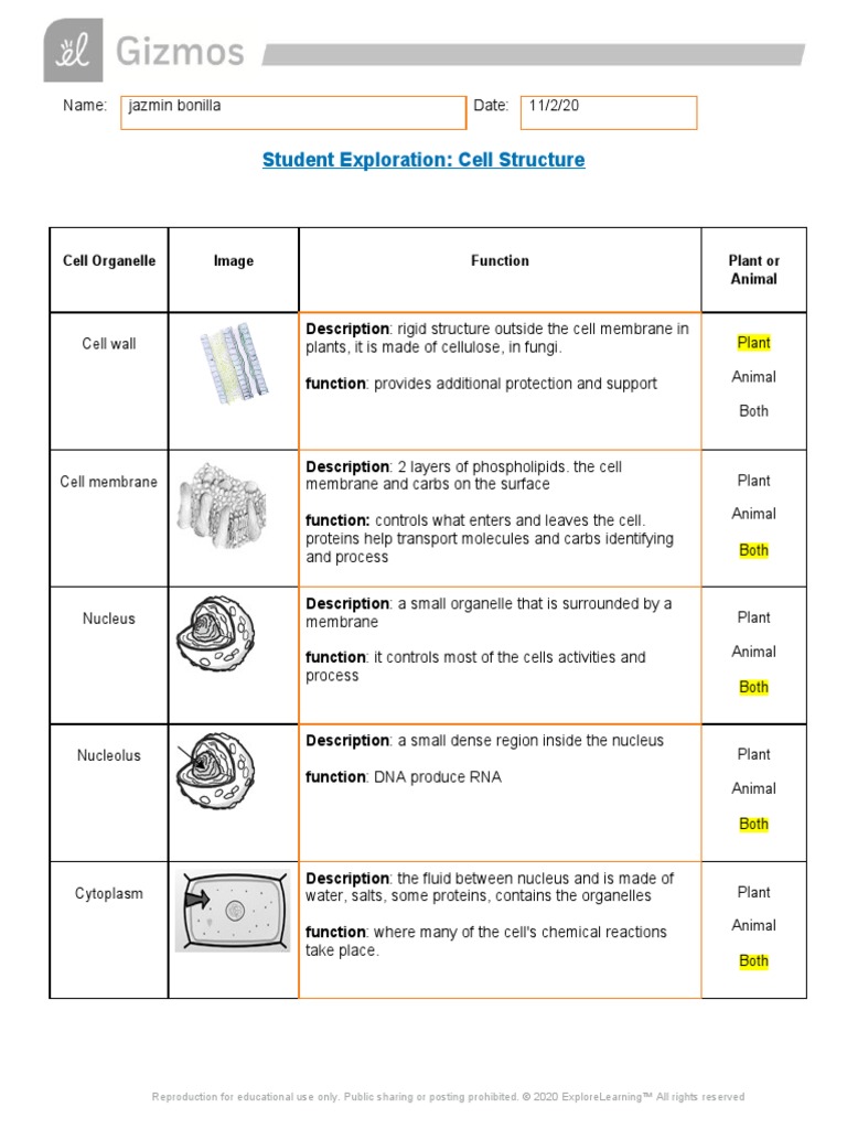 Jazmin Bonilla - CellStructure Gizmo | PDF | Endoplasmic Reticulum ...
