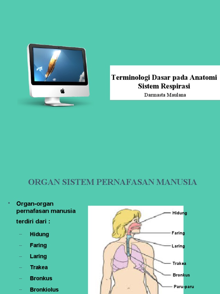 Terminologi Dasar Pada Anatomi Sistem Respirasi | PDF