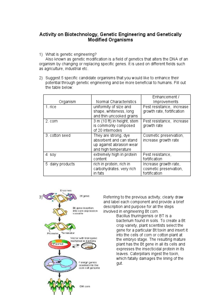Biotechnology and Genetic Engineering Activity | PDF | Genetically ...