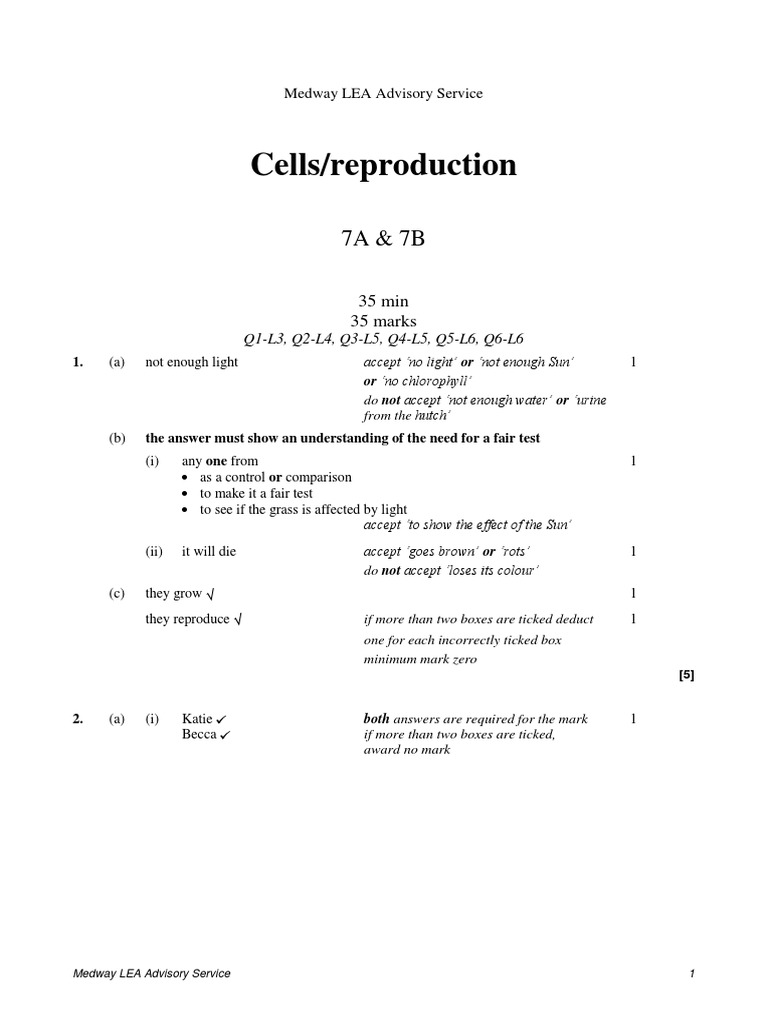 Year 7 Cells and Reproduction - Mark Scheme | PDF | Carbohydrates | Uterus