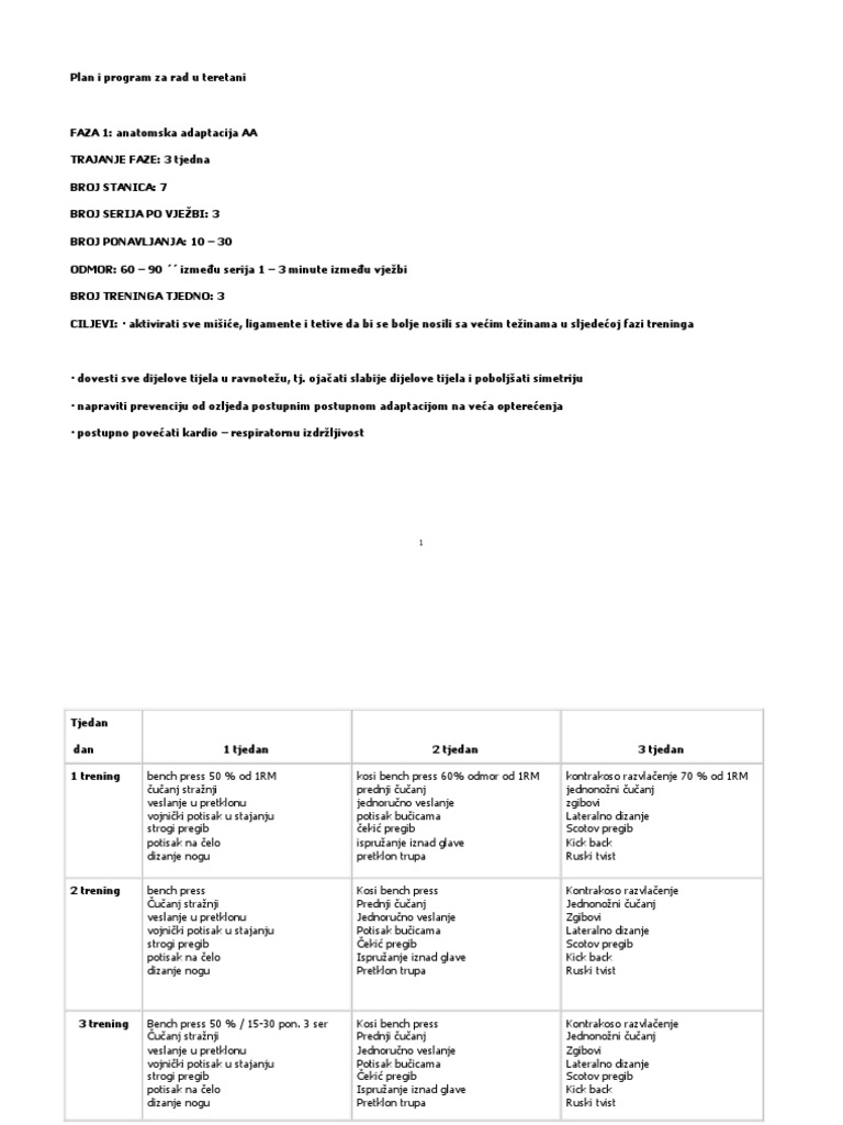 Plan I Program Za Rad U Teretani Pdf