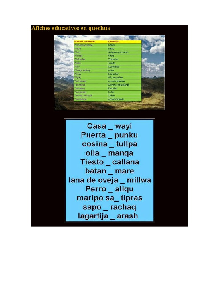 Afiches Educativos en Quechua | PDF