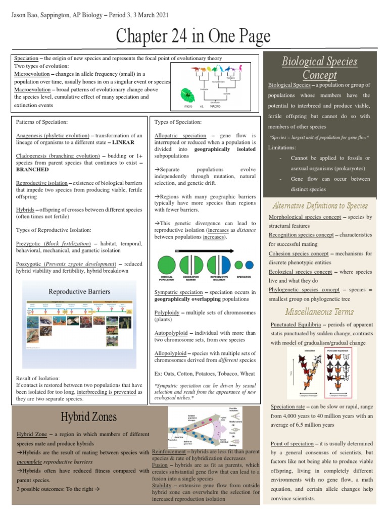Chapter 24 1-Pager | PDF | Species | Hybrid (Biology)