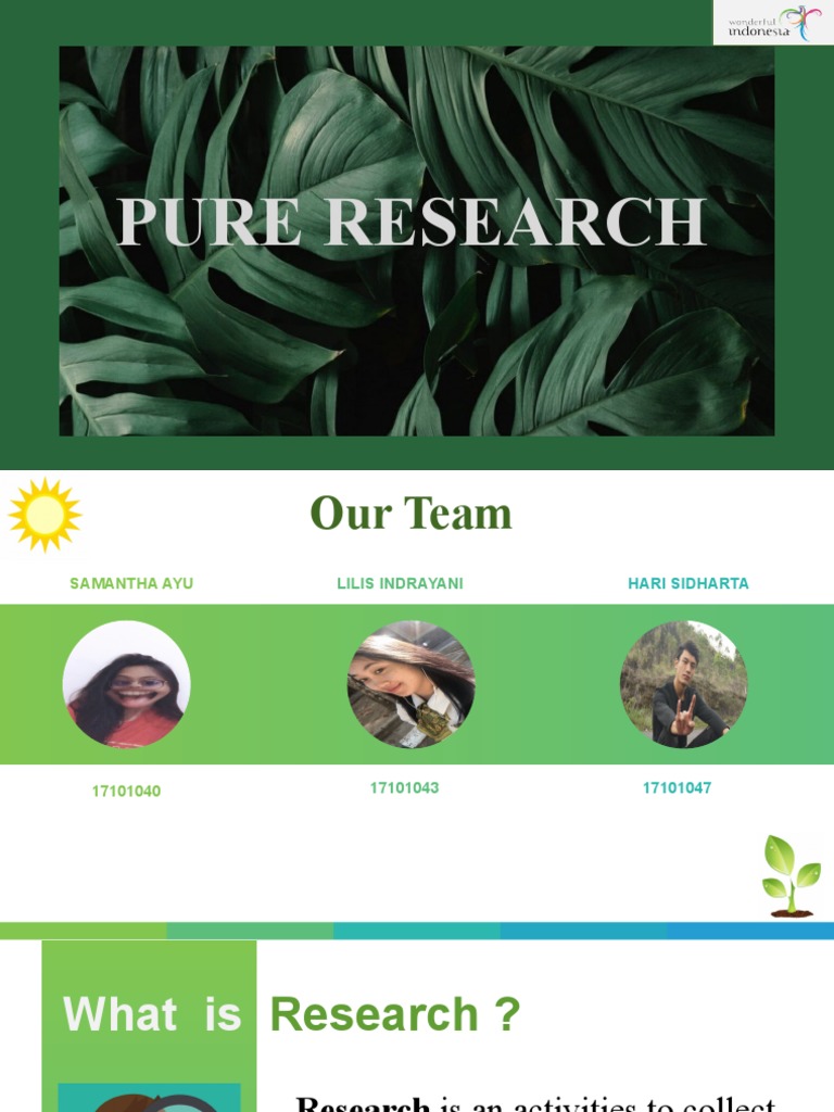 Pure Research BHP-B | PDF | Basic Research | Science