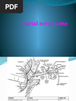 Facial Muscle Testing and Grading Guide | PDF | Human Anatomy | Human ...