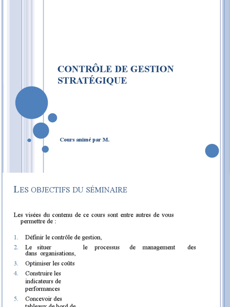 Contrôle de Gestion Stratégique | PDF | Audit | Sociétés