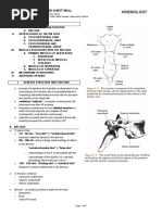 Torbay Cuff Protocol | PDF | Anatomical Terms Of Motion | Shoulder