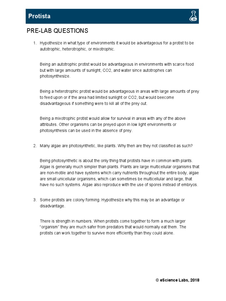 Biology Protista Worksheet ANSWERS | PDF | Algae | Plants