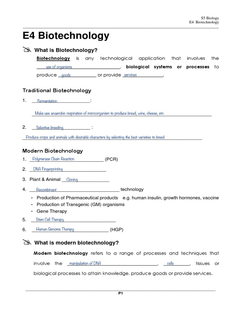 E4 Bio WS 31 | PDF | Genetic Engineering | Stem Cell