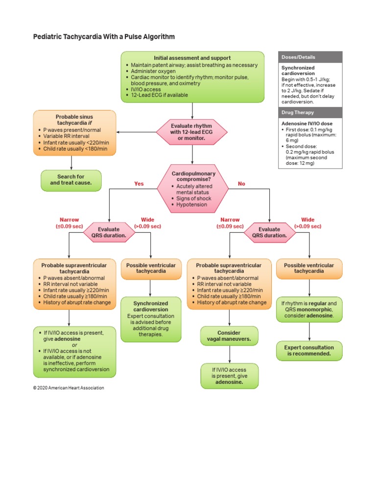 Pediatric Tachycardia With A Pulse Algorithm: Yes No | PDF | Cardiac ...