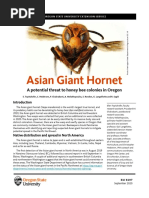 The Schmidt Insect Sting Pain Index | PDF | Zoology | Insects And Humans