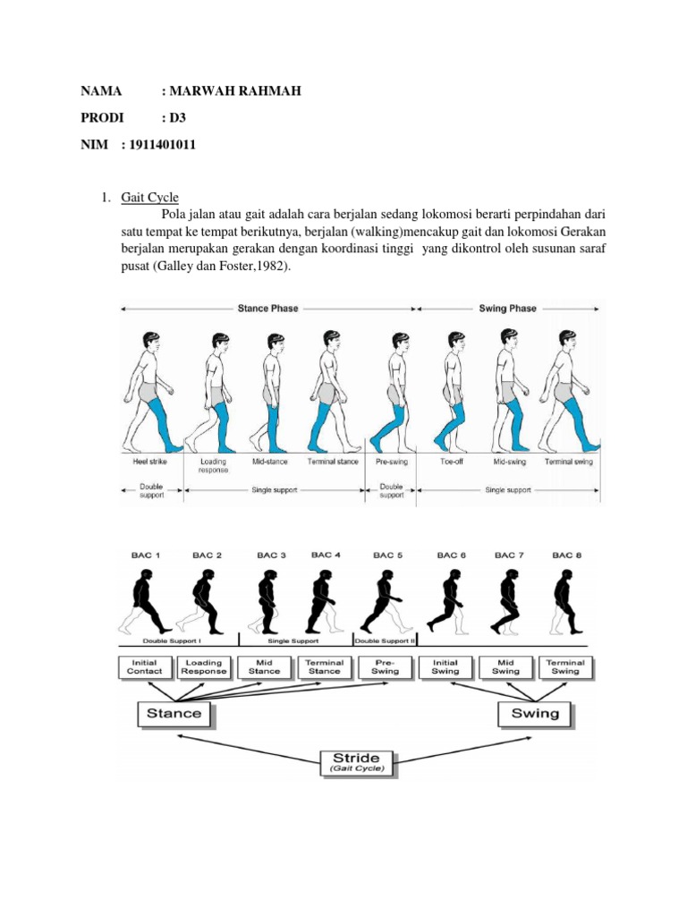 Tugas Marwah Gait Cycle | PDF