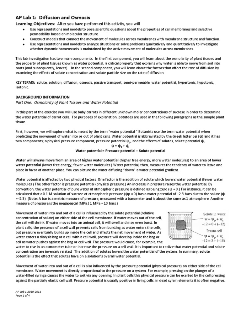 AP Lab 1 2010-2011 | PDF | Osmosis | Chemistry