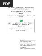 Fisiologia Vegetal Morfogenesis | PDF | Tallo de la planta | Morfogénesis