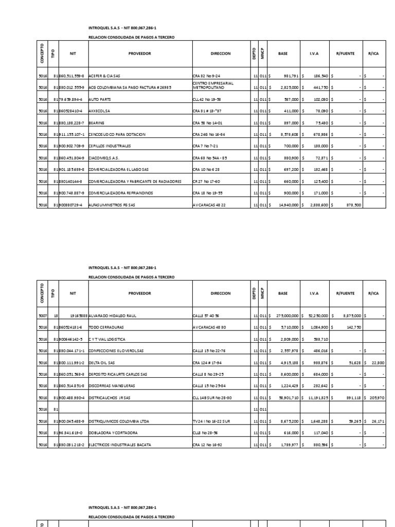 Formato 1001 Relacion Pagos A Terceros Introquel Año 2019 Prueba | PDF