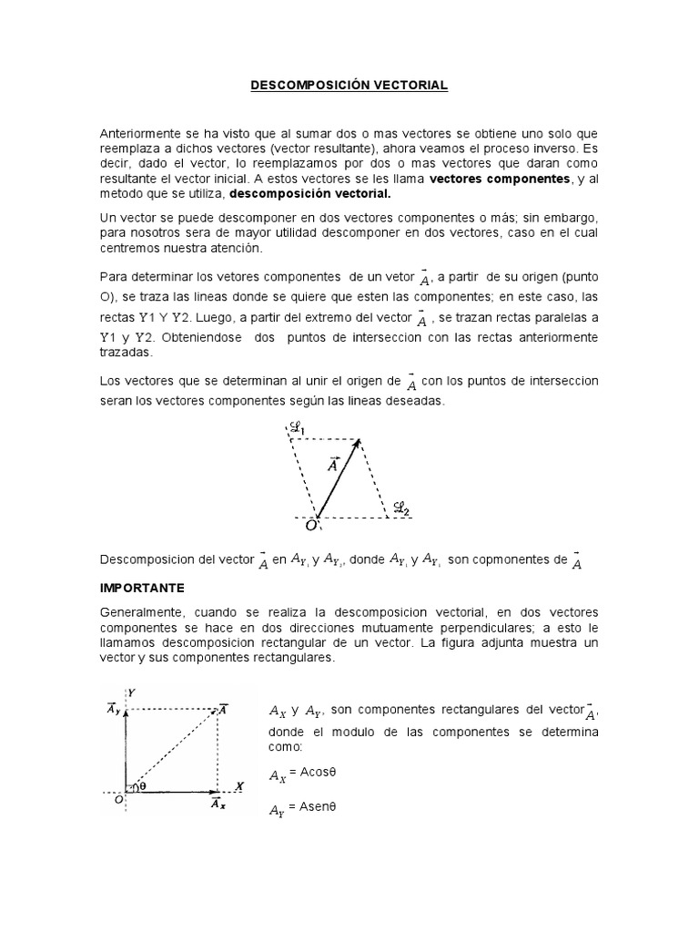Descomposición Vectorial | PDF