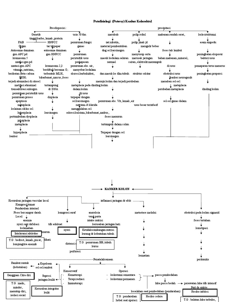 Patofisiologi Kanker Kolorektal | PDF