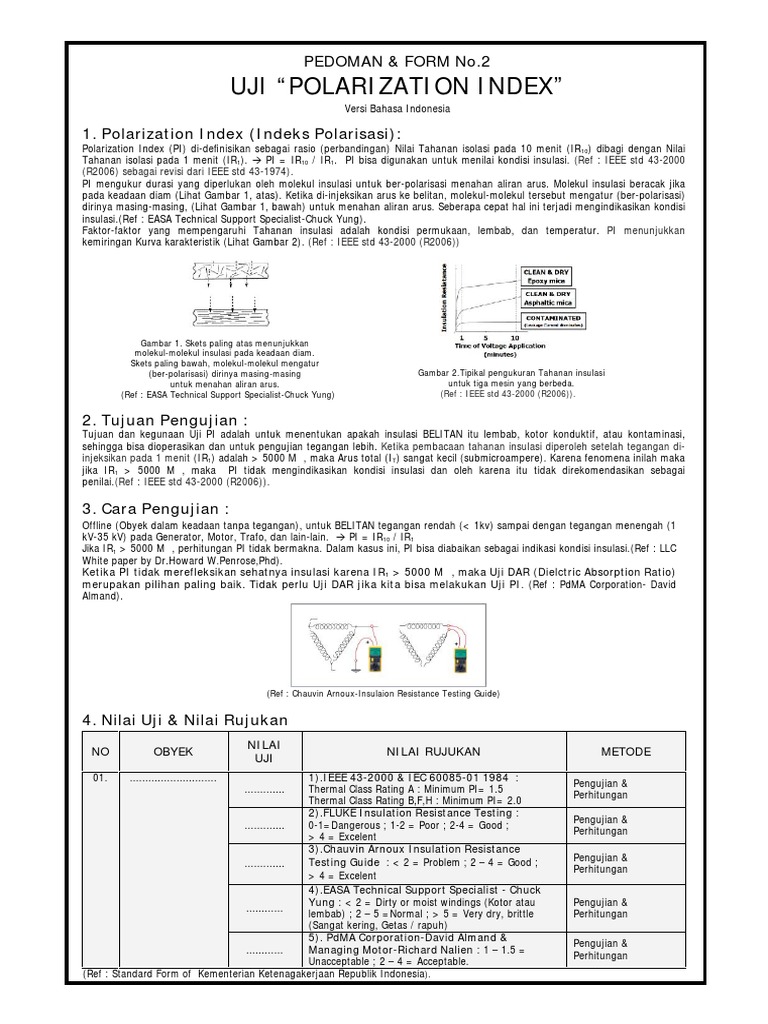 Form Uji Polarization Index | PDF