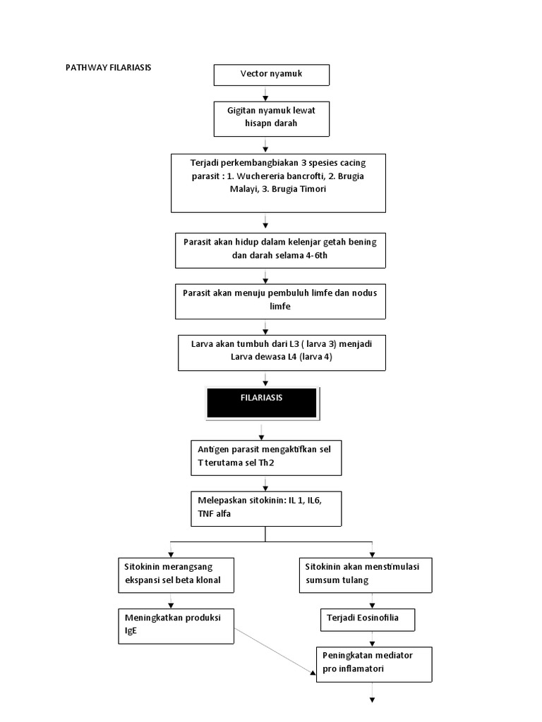 Pathway Filariasis 1 | PDF