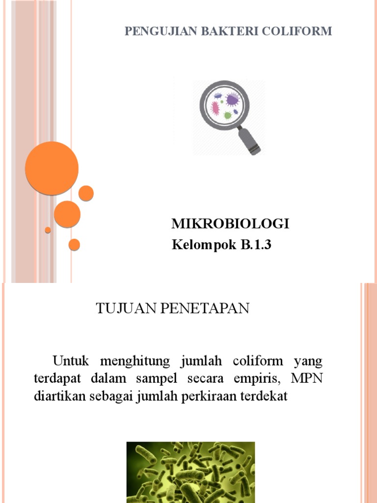 Pengujian Bakteri Coliform | PDF