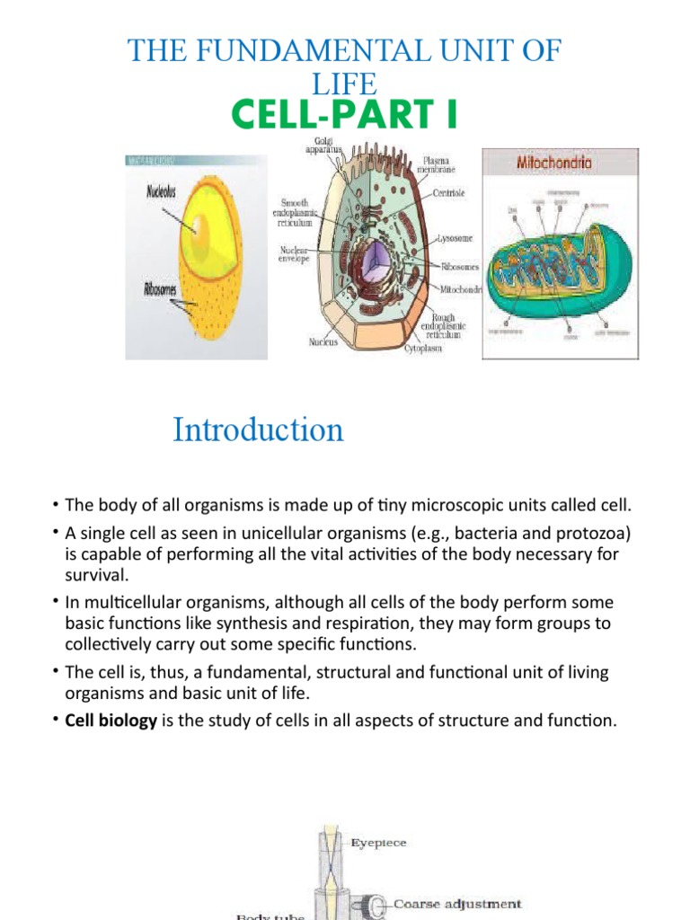 Fundamental Unit of Life | PDF | Osmosis | Cell (Biology)