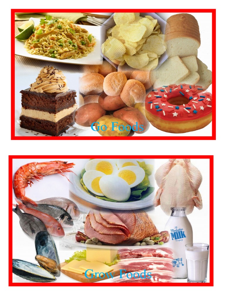 3 Basic Food Groups | PDF