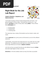 14 Answer Key Beaks of Finches Lab | PDF | Adaptation | Natural Selection
