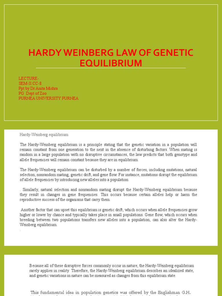 Hardy-Weinberg Law of Genetic Equilibrium | PDF | Zygosity | Allele